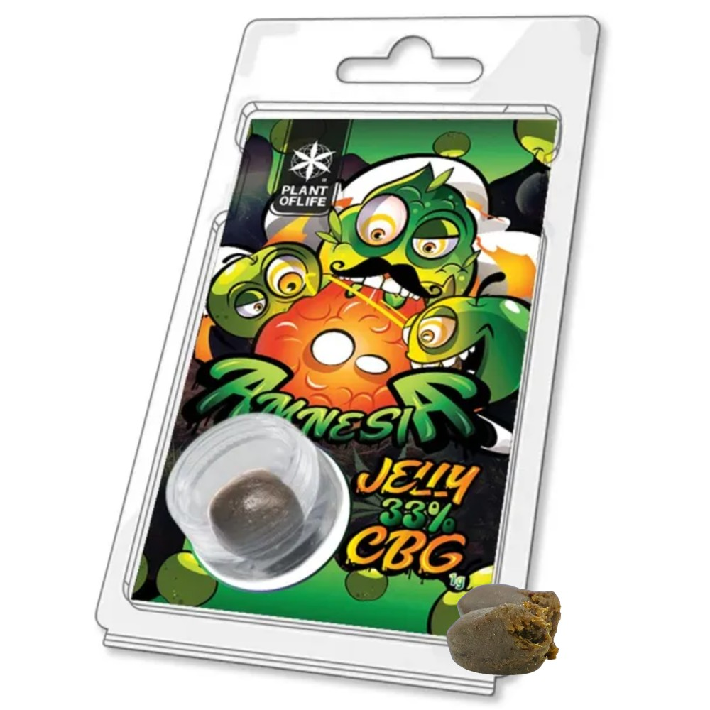 Warum Plant of Life Jelly Hash Amnesia Haze mit 33% CBG uns begeister ...
