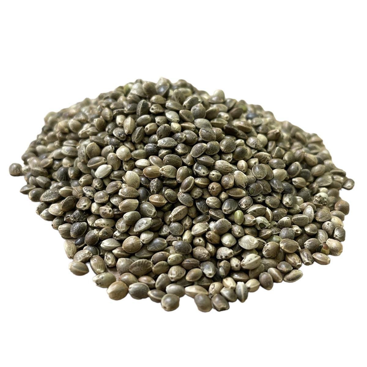 Grow Deine eigenen Super Skunk Auto Samen | Hempodia , 24,90